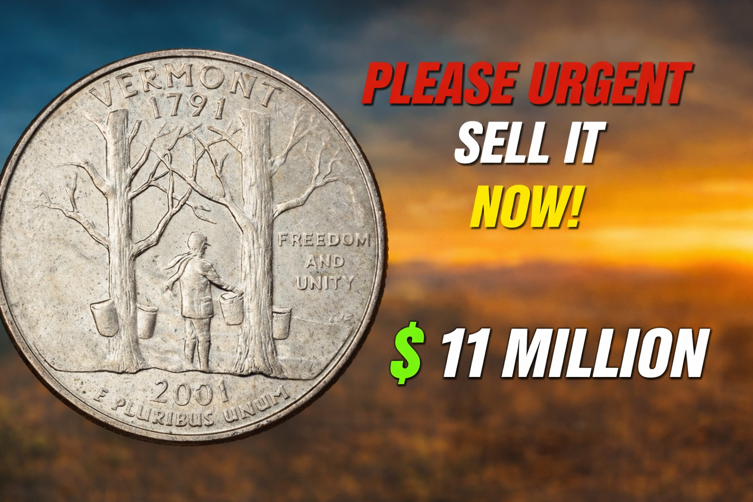 Top 7 State Quarters Worth Up to $87,000 - Check Your Pocket Change ...